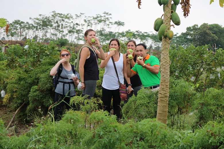 Vietnam Tours from USA | Best Travel Packages & Expert Guide